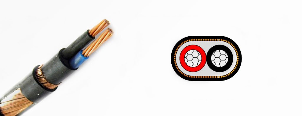 CONCENTRIC CABLE - VERI Cable