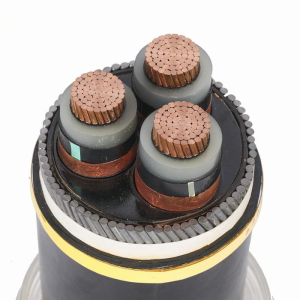 LV Electric Cable For Transmission Types Supplier